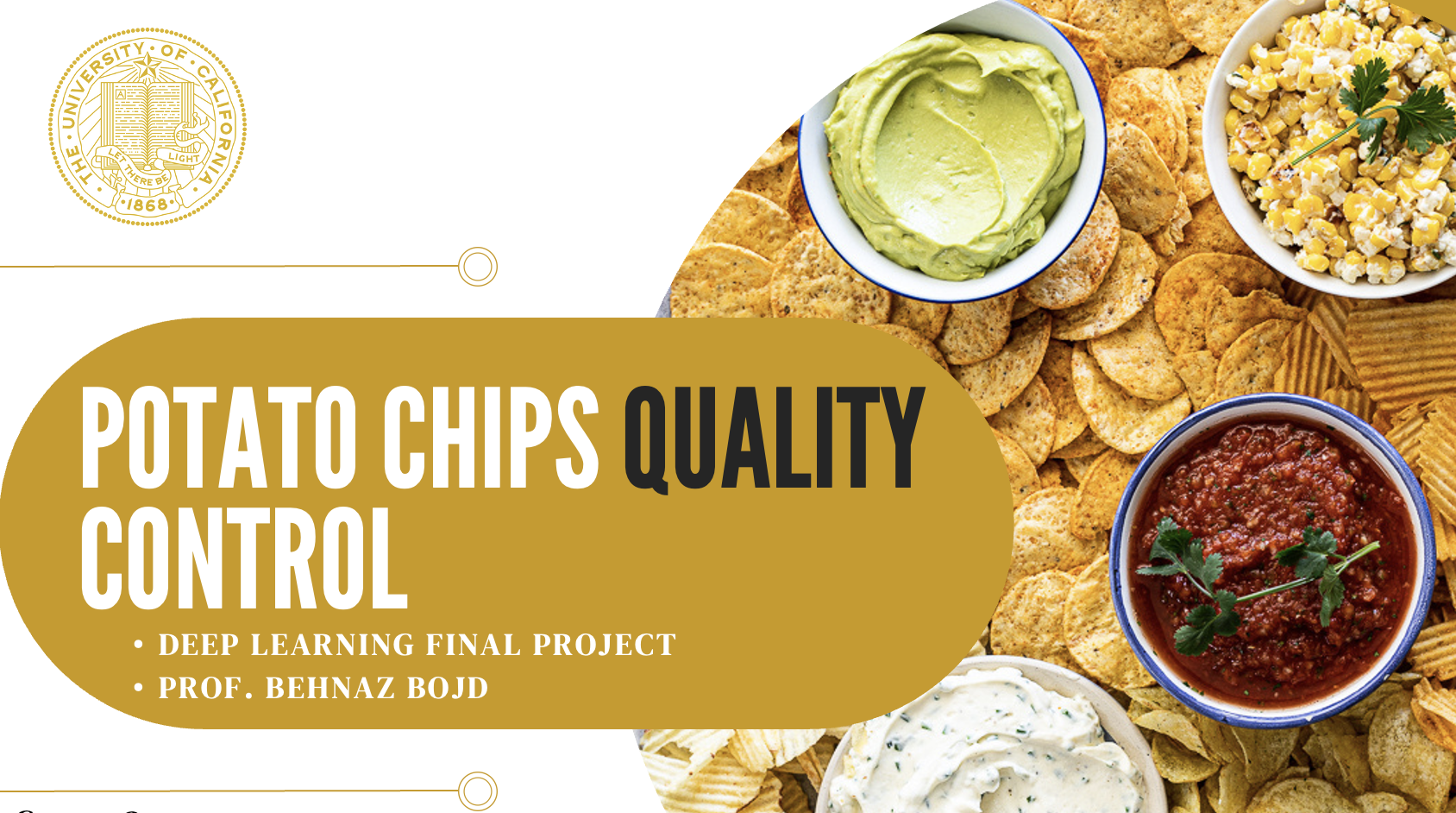 Urvi Vaidya | Data Analyst & BI Developer